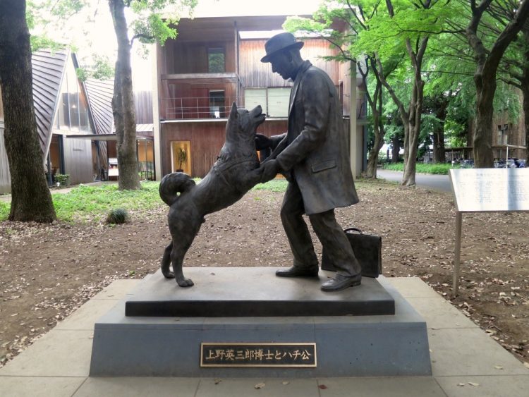 Hachiko’s Heartbreaking Story of Loyalty: The Dog Who Waited a Decade ...