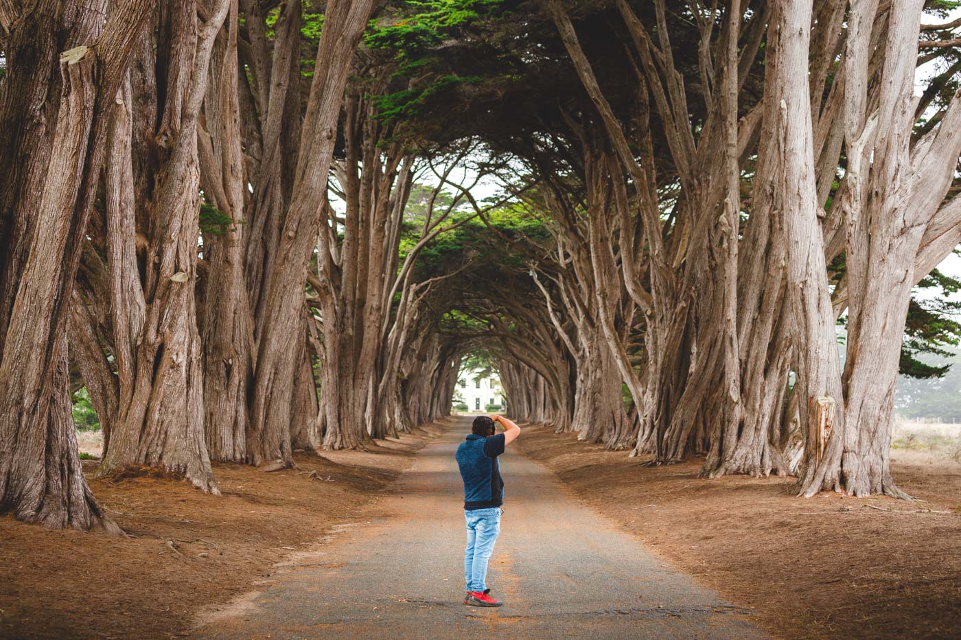 Bodega Bay vs. Point Reyes: Which Coastal Gem Offers the Best Views ...