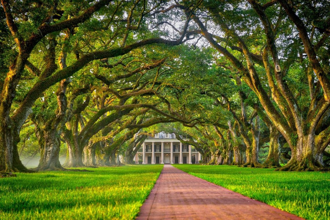 What Can You Expect on a Tour of Oak Alley Plantation? - Town of Traveller