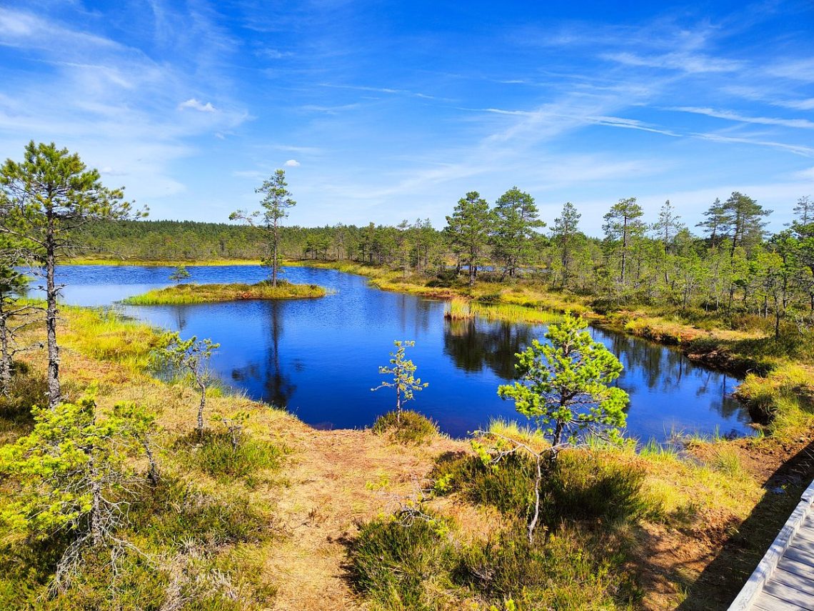 Ultimate Guide to Lahemaa National Park: Estonia’s Wilderness Gem ...